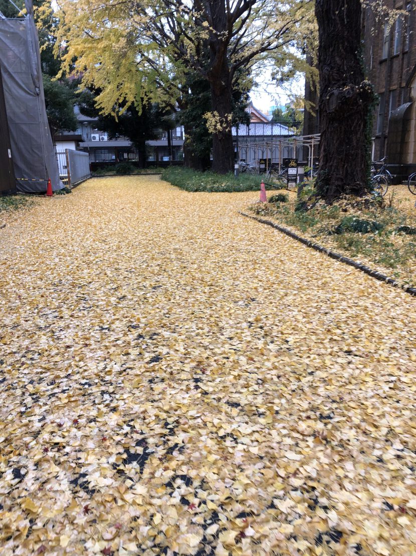 My blog page – Radio Plant Physiology (Tanoi Lab)