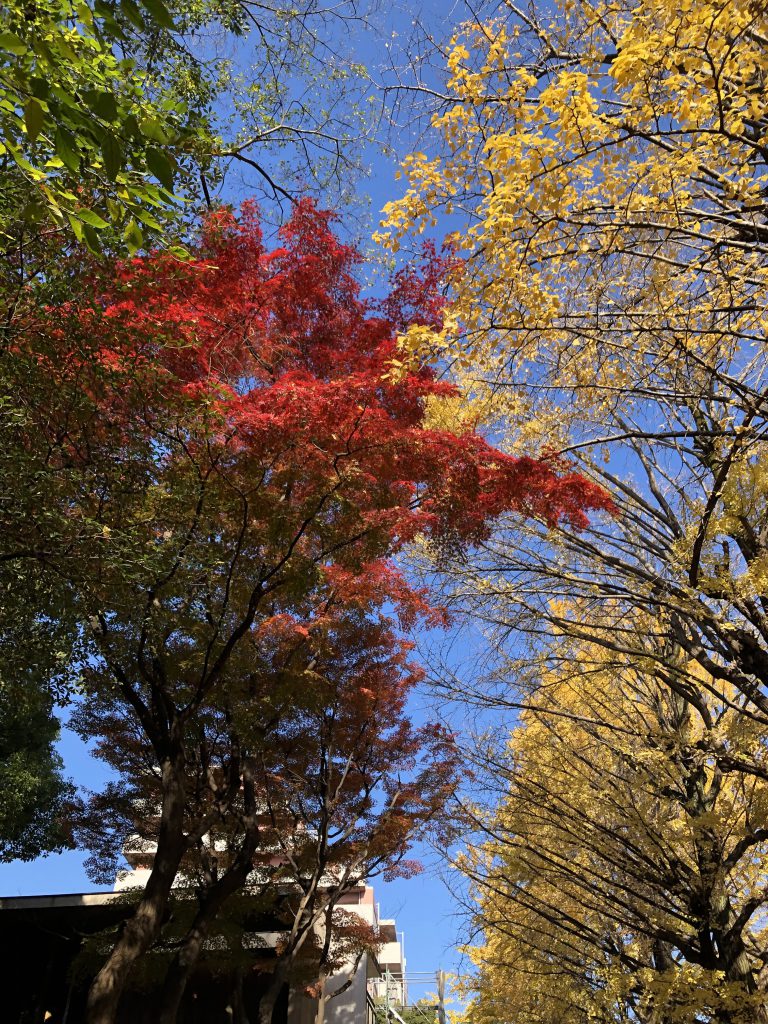 Radio Plant Physiology (Tanoi Lab)