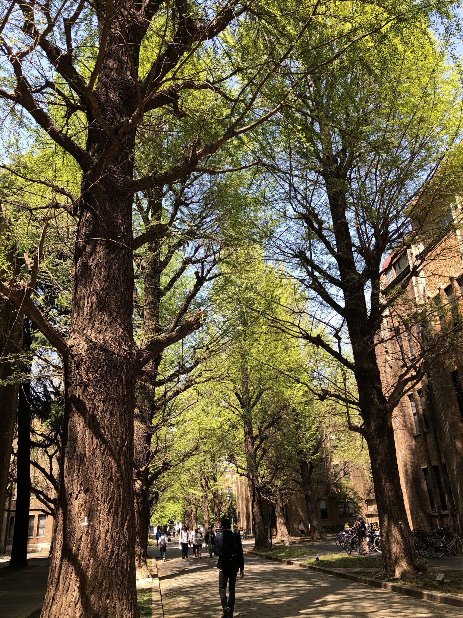 Radio Plant Physiology (Tanoi Lab)